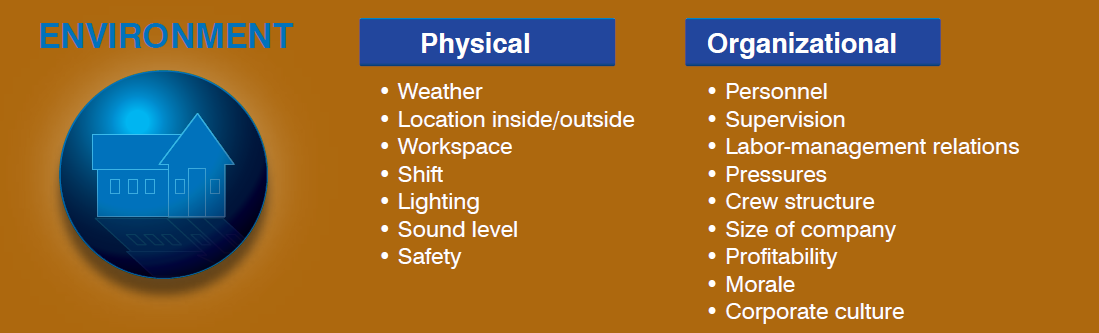 The Pear Model - Human Factors