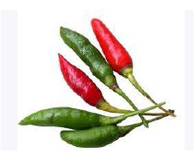 Farmabin: Capsiate - aumento termogênese, auxiliar redução peso ...