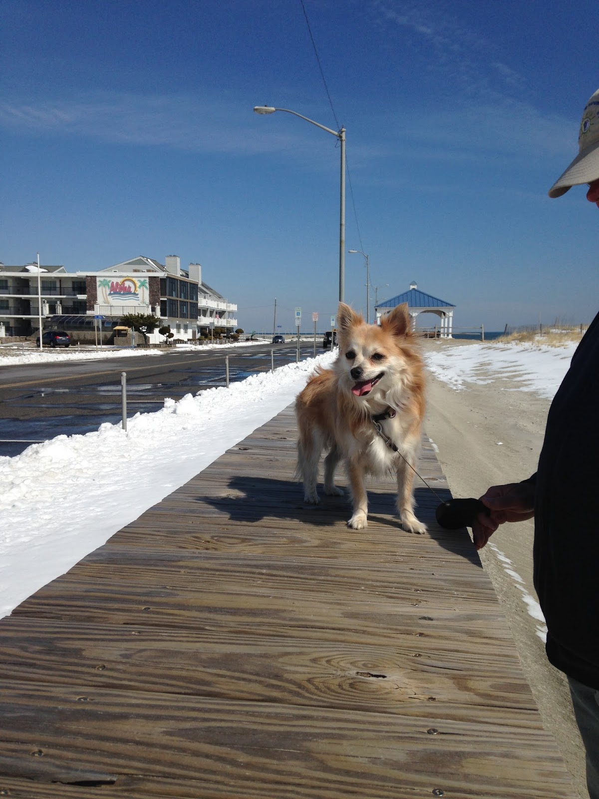 Wildwood Weather: 2017