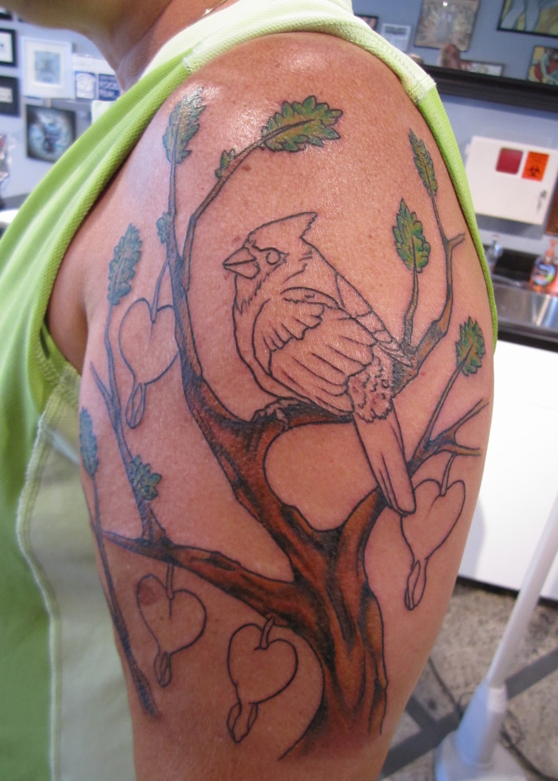 unfiltered: Animals!