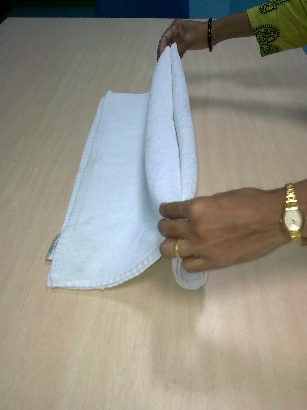 Vision of Art: Towel Art