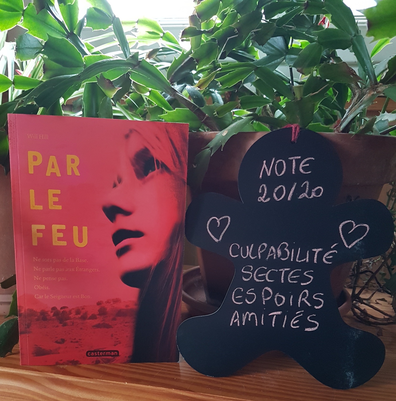 Les lectures de Mylène: Par le feu de Will Hill