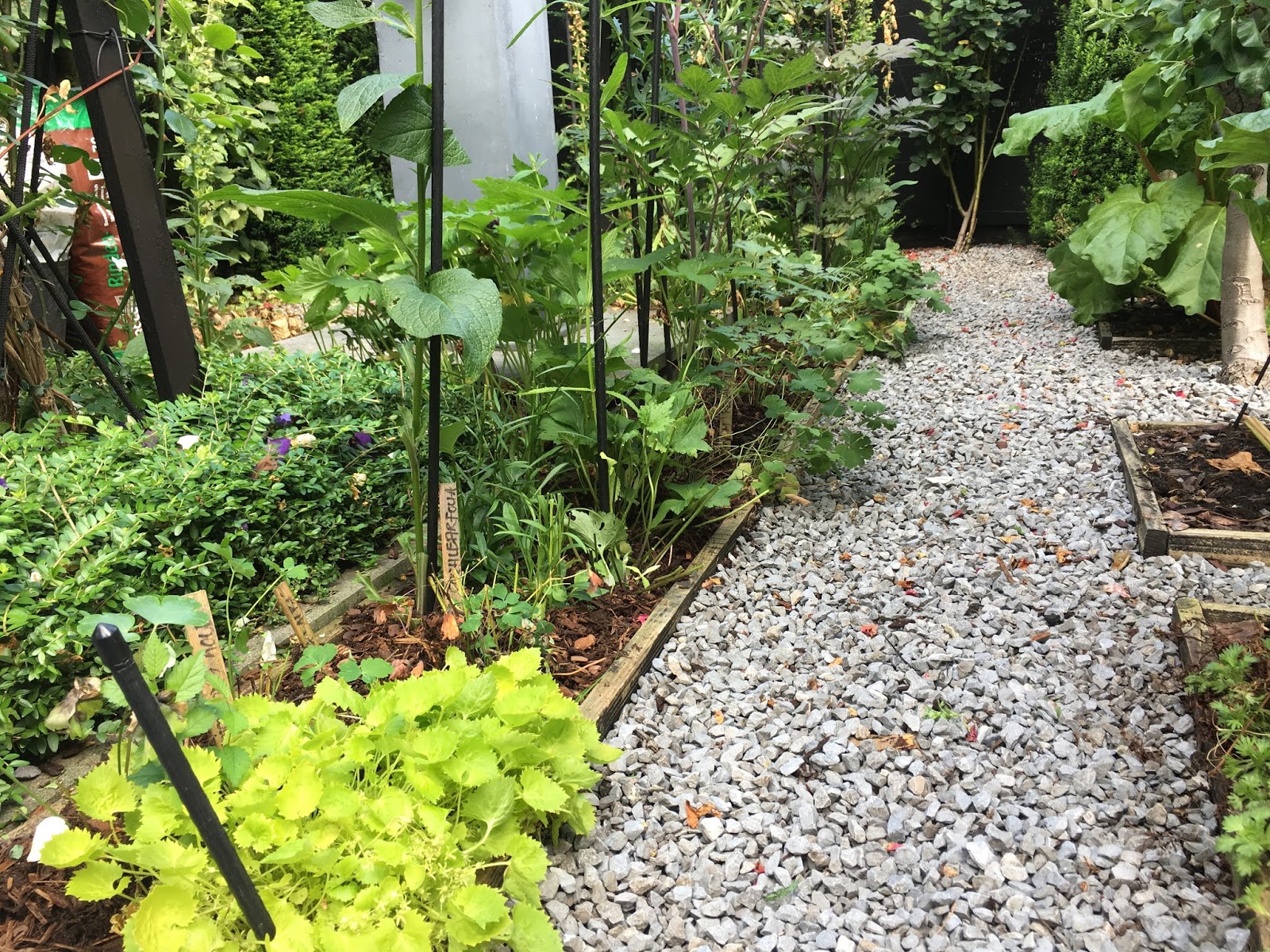 Potagerie in Maastricht: 22.06.2018 > side boarder cleaned up...