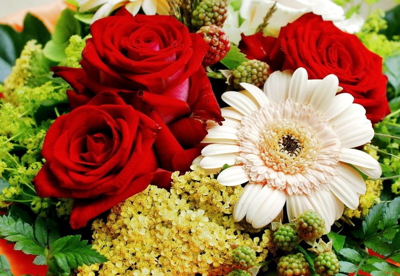 Beauty Of Flowers: Mix Color Flowers