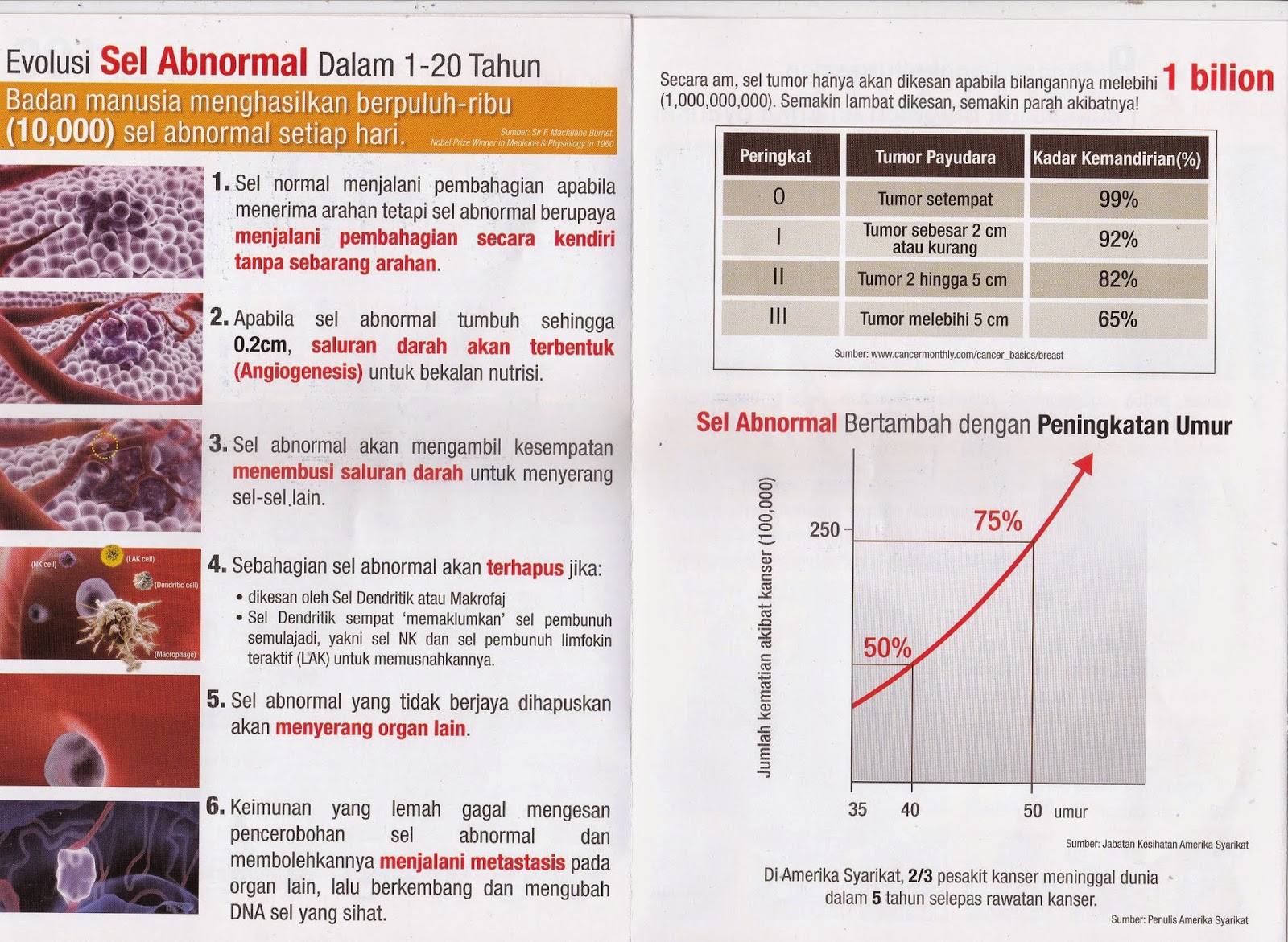 Terapi Pembaharuan Molekul (Nutraceutical Shop): ElfaHex - Makanan ...