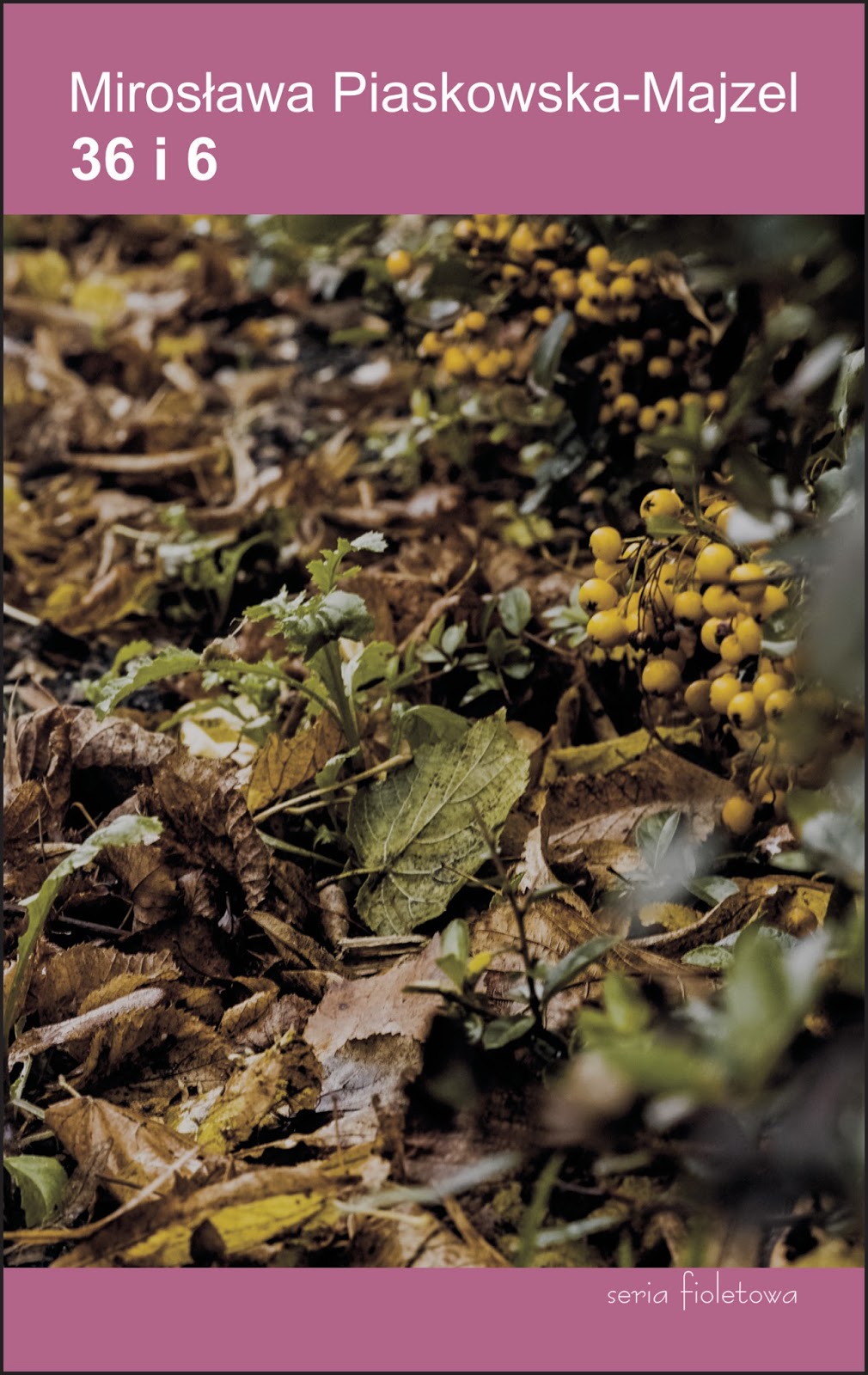 górowianka: „36 i 6” Mirosława Piaskowska-Majzel