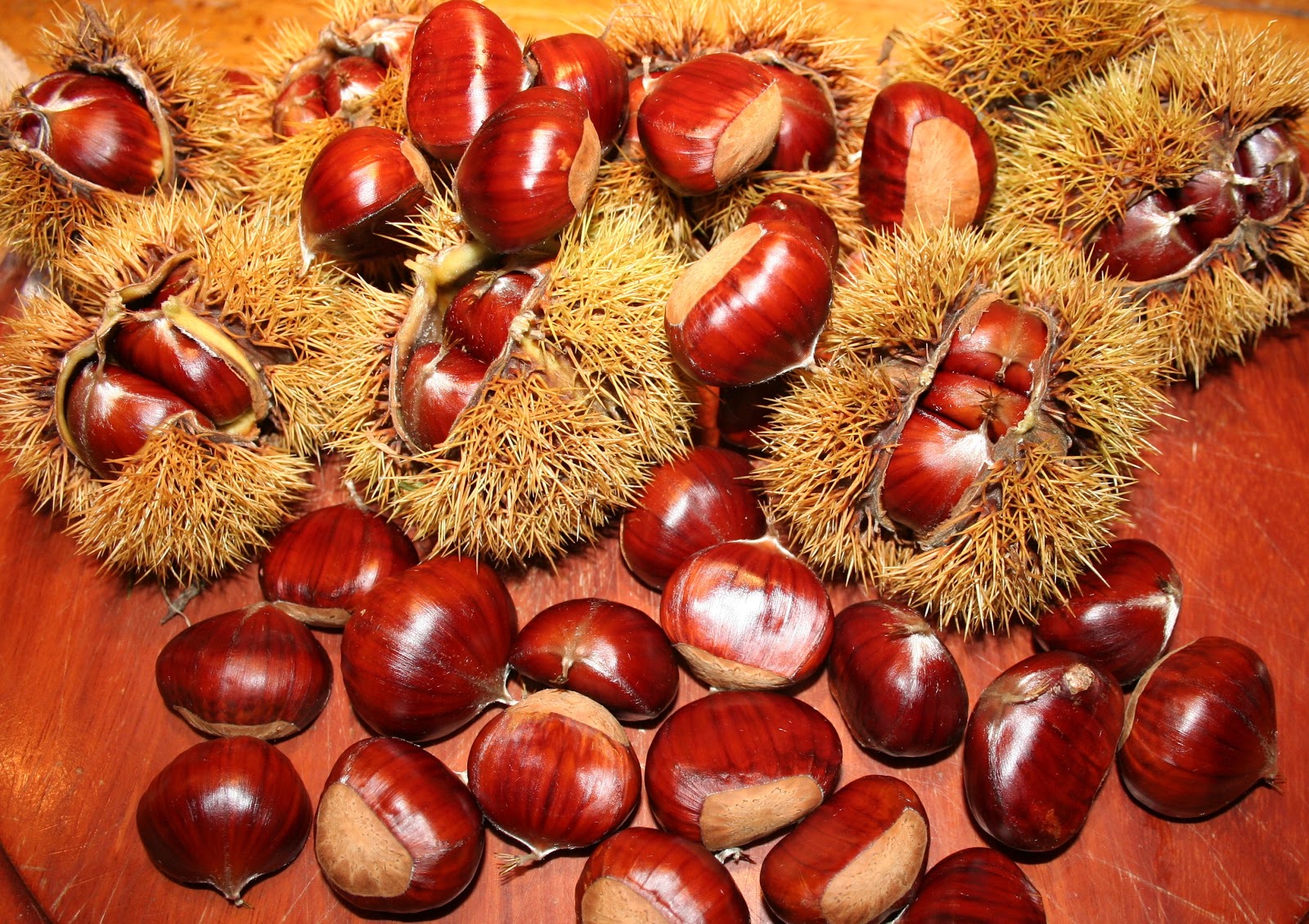 Anabela Magalhães: Castanhas