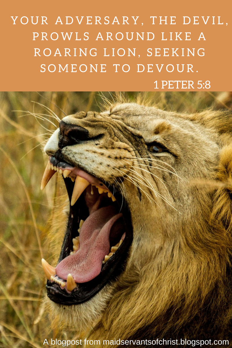 Maidservants of Christ: And If the Devil Doesn't Like It...