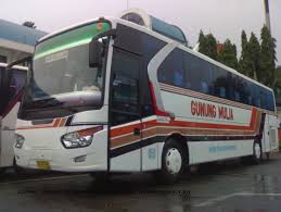 bus gunung mulia