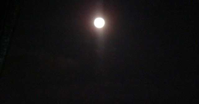 Our Adventures in Japan: jugoya