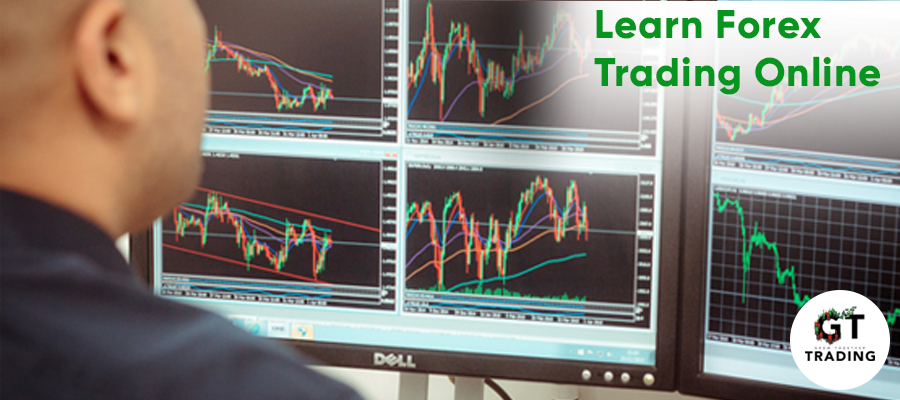 Gt Trading Ltd: Everything you need to know about trading training