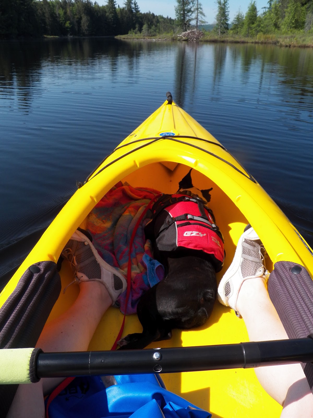 Quiet Kayaking in New York State: South Inlet, part one