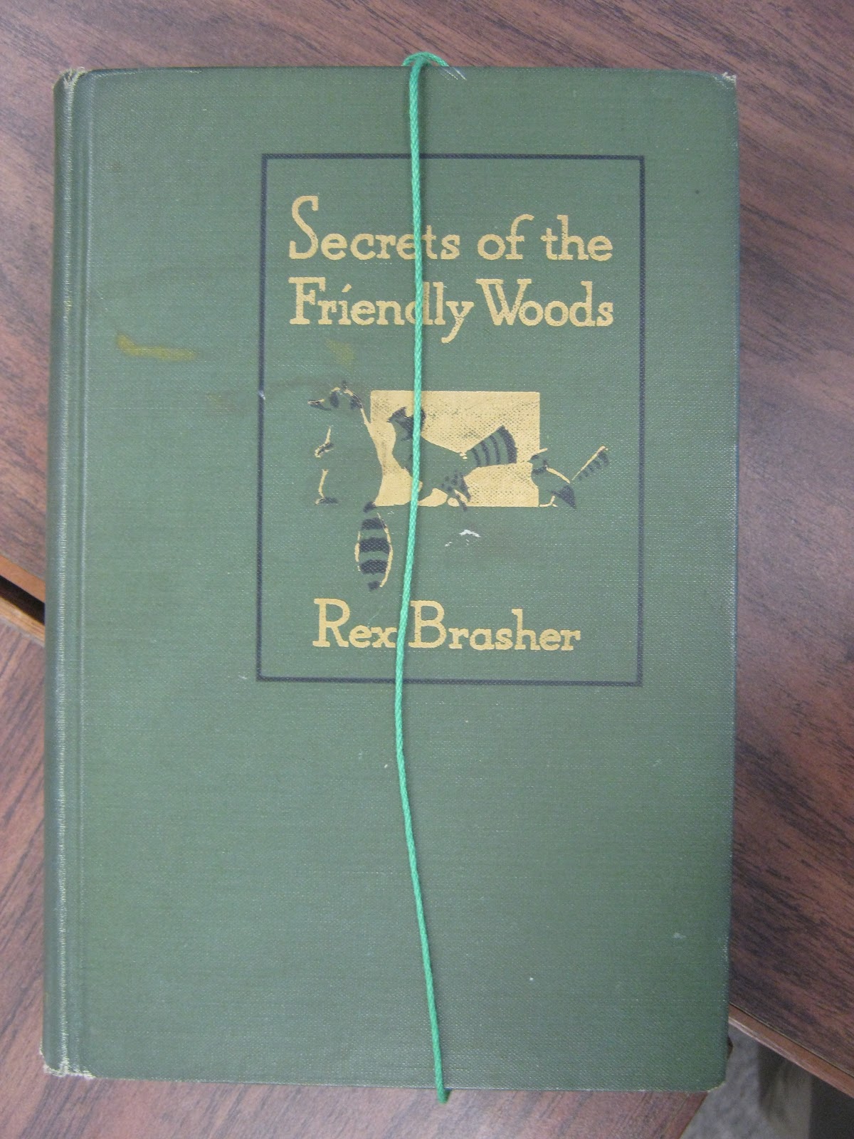 AvesInArt: Rex Brasher's bird art and birding Kent's River Road