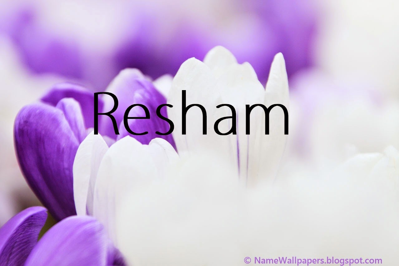 Resham Name Wallpapers Resham ~ Name Wallpaper Urdu Name Meaning Name ...