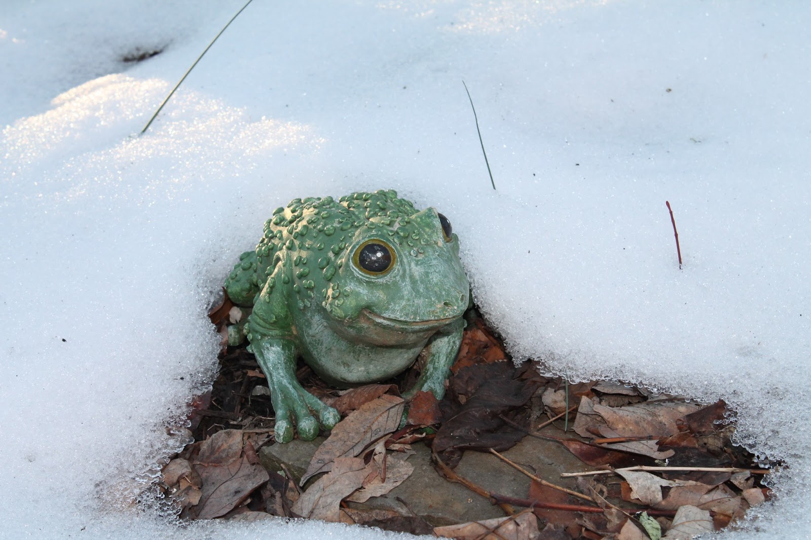 The Good Life: Thoughts for Monday