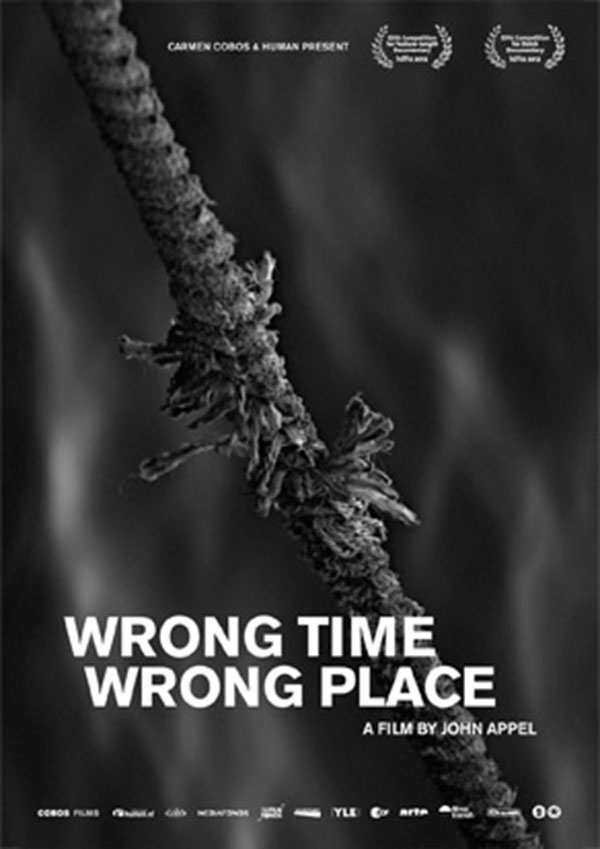 Mr Movies WRONG TIME WRONG PLACE MIFF 2013 mr-movies-wrong-time-wrong-place-miff-2013