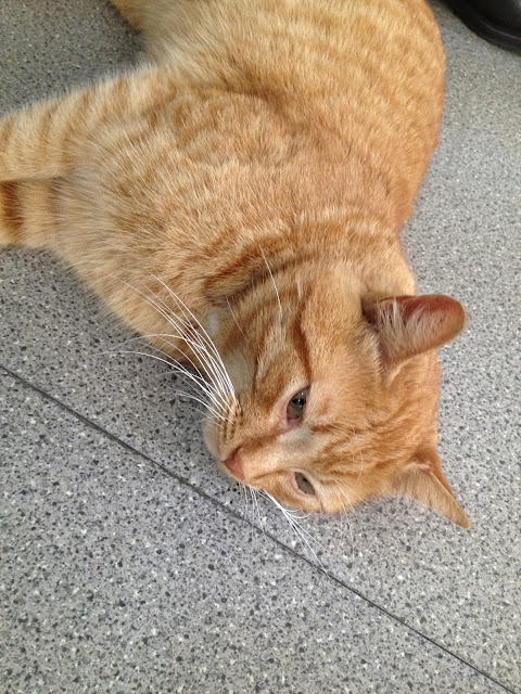 *. TorukoGyaru .* トルコギヤルのブログ: Mode Gyaru Inspired Outfit Cat's only ...