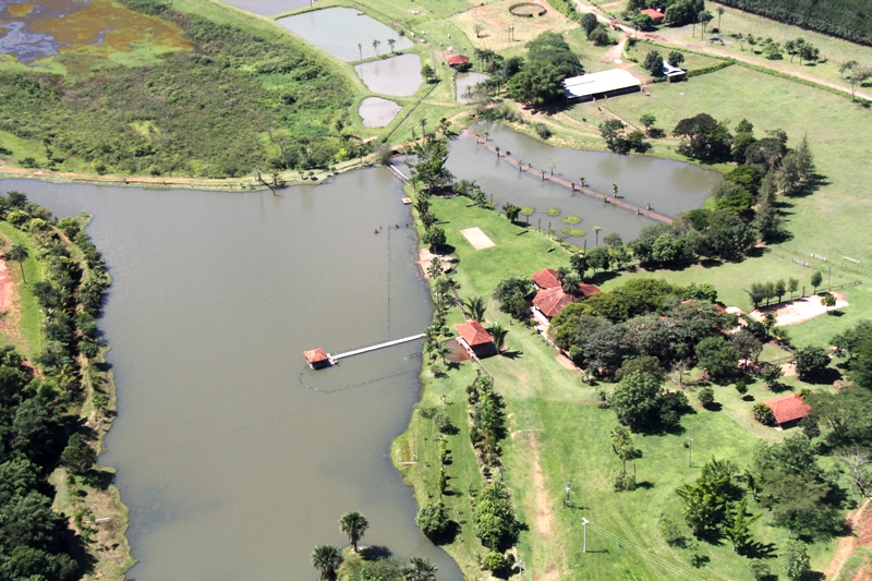 Blog do Ronco: Parque do Lago: paraíso ecológico em Dourado.