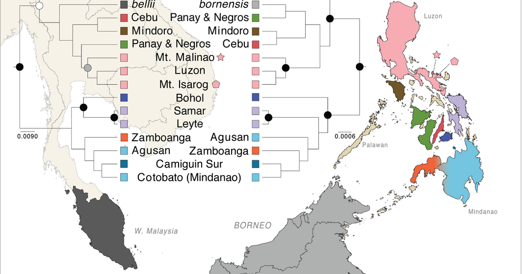 Species New to Science: [Herpetology • 2016] Archipelago-wide Survey of ...