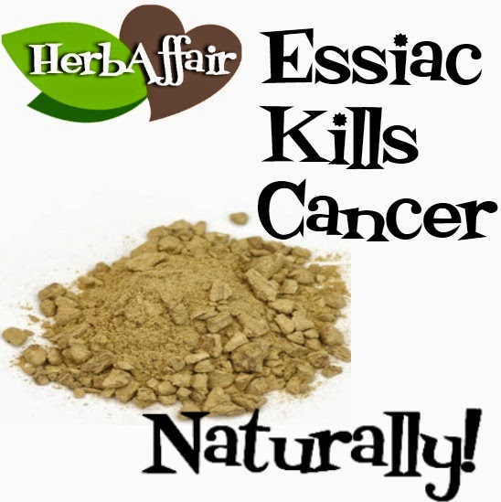 Evidence points to Essiac Tea as potent cancer fighter even as medical ...