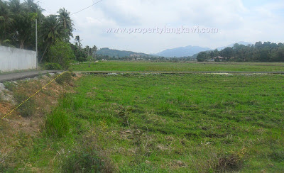 Tanah Dan Rumah Untuk Di Jual Di Langkawi: Tanah Bendang untuk dijual ...