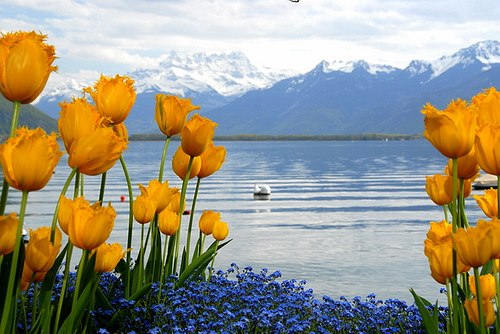 paisajes del mundo: Bellos paisajes.