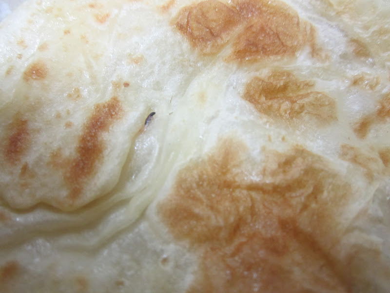 lovely: gambar kutu tepung.