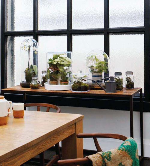 DIY: Terrarium-inspired Display | Poppytalk