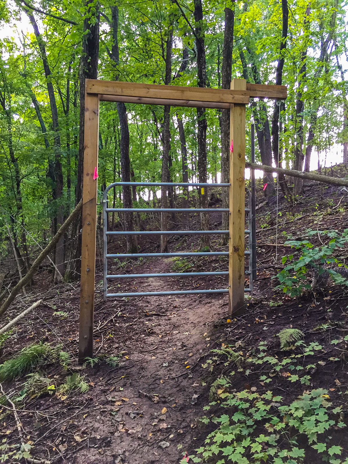 Hiking the Ice Age Trail Straight Lake Segment