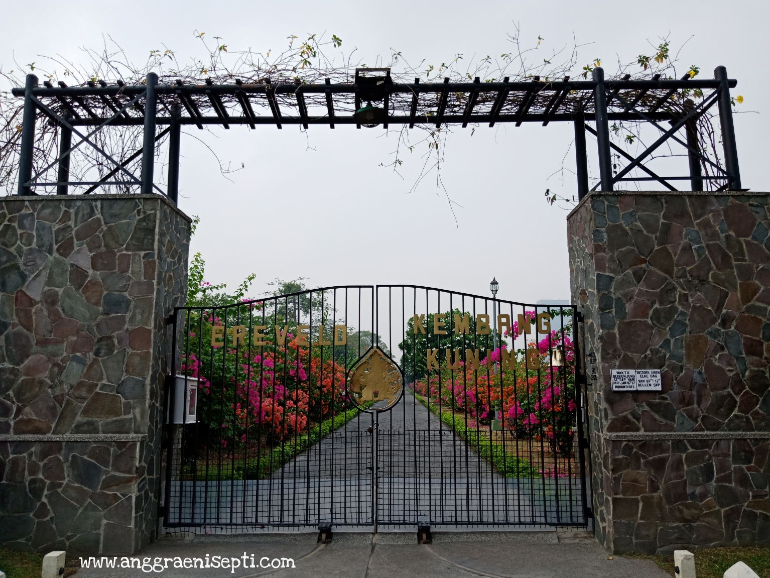 Ereveld Kembang Kuning Surabaya di Suatu Sore | Anggraeni Septi