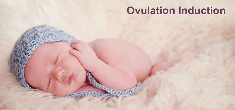 Shantah IVF Centre: What is Ovulation Induction and why do I need it?
