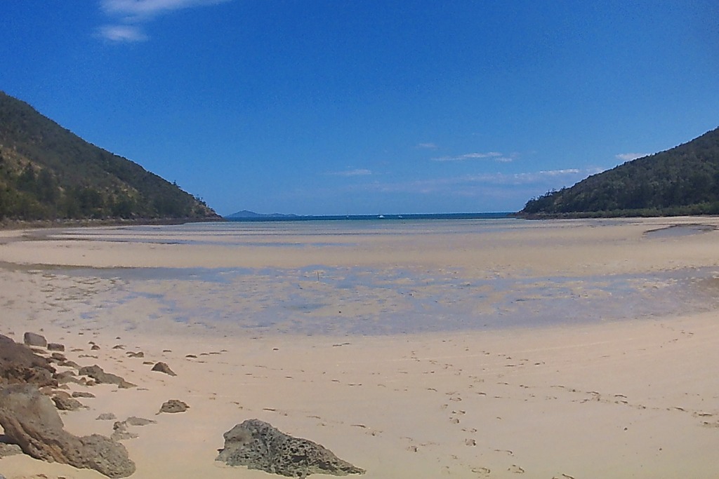 Dreamtime Sail: Goldsmith Island - More fish, great beach, a badly ...