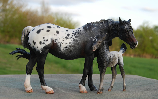 Caballos bebé - Imagui