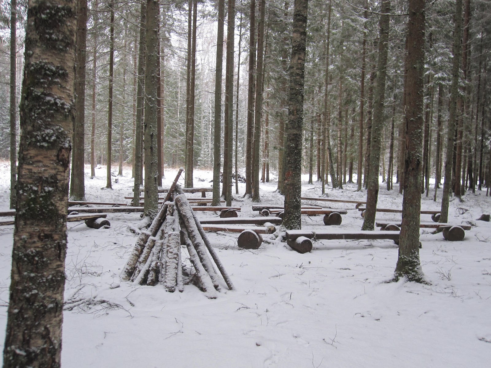 Four Strings Good..: Whispering trees - Litene, the forest of death