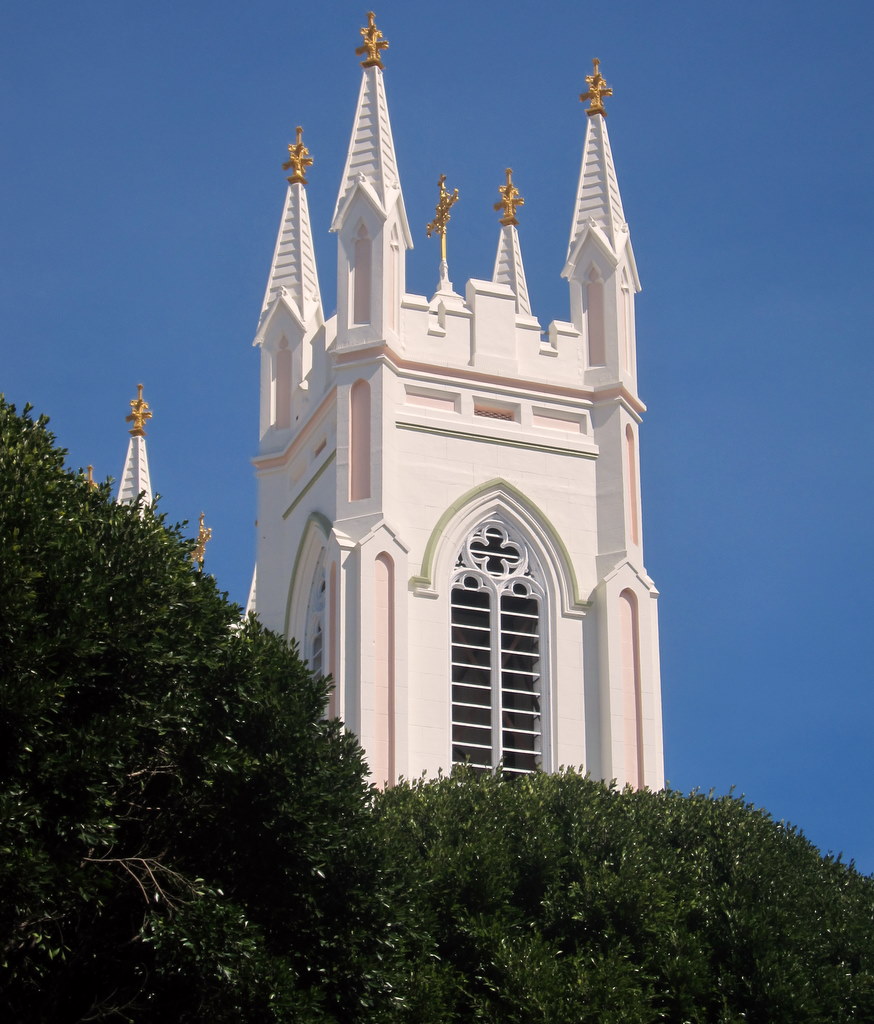 Jane Says: Walking to Coit Tower and the Parrots of Telegraph Hill