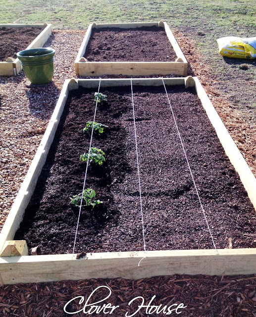 Clover House: How to Make a Small Garden