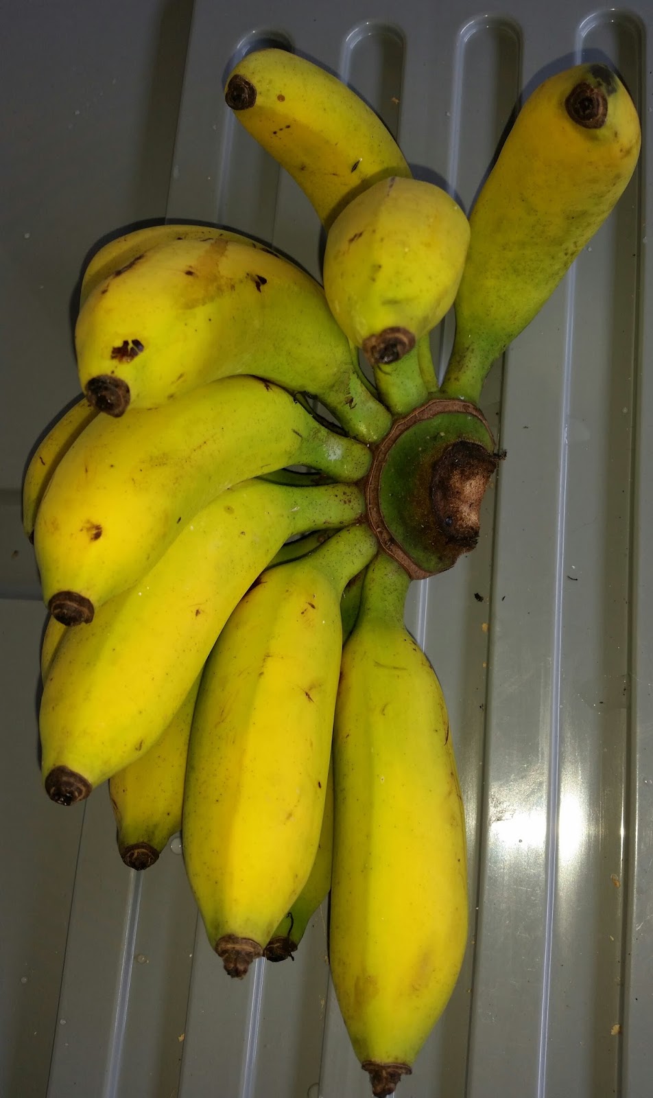 Warisan Petani: Buah Pisang 2