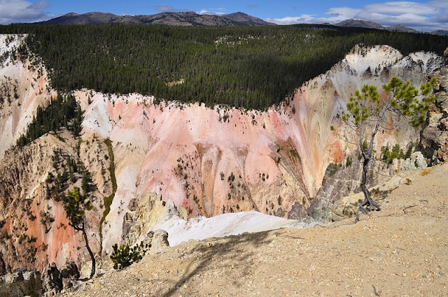 and so it is...: Yellowstone: The longest post in the history of blogging