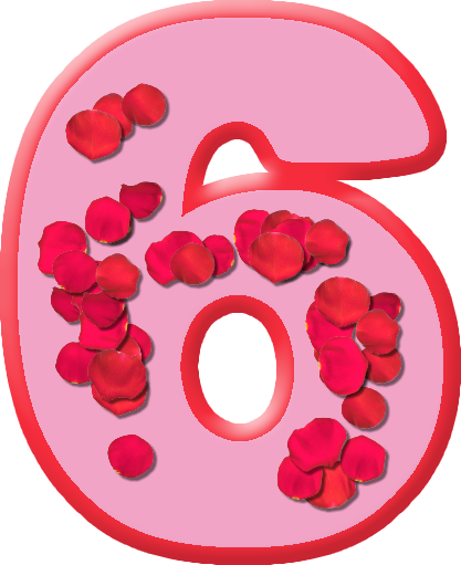 ForgetMeNot Flower Petals Number ForgetMeNot Flower Petals Number