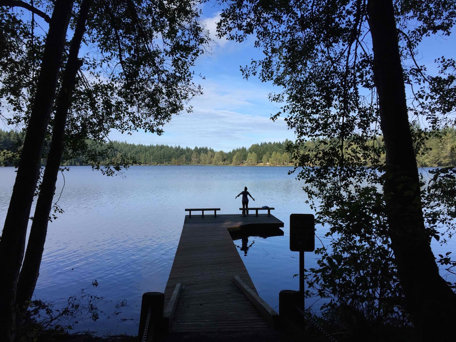 DJan-ity: Lake Padden walks over the years