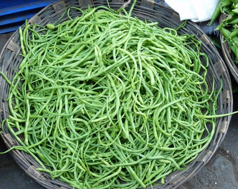 Rushina Munshaw Ghildiyal: Slow down to celebrate Terra Madre Day in ...