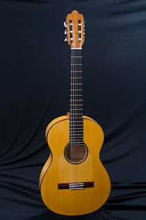 .: Chitarre acustiche