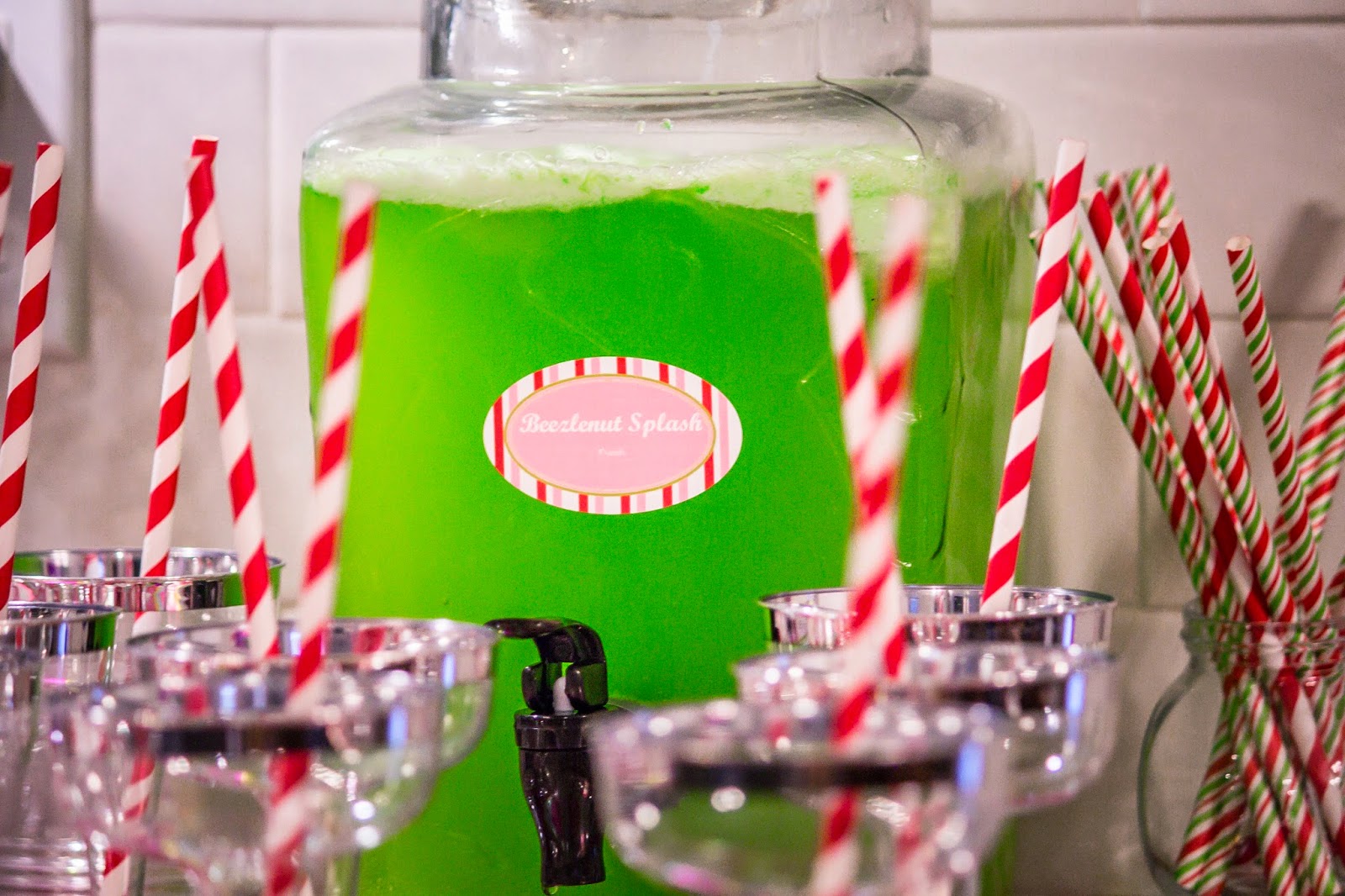 The Duffle Family: Zoe Lou-Who Turn's Two!