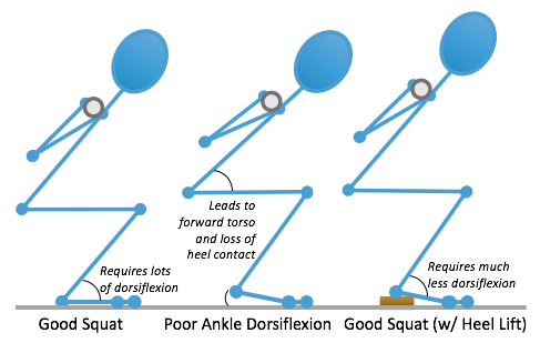 Fitness Pollenator: Which Squat Depth is Best FOR YOU?