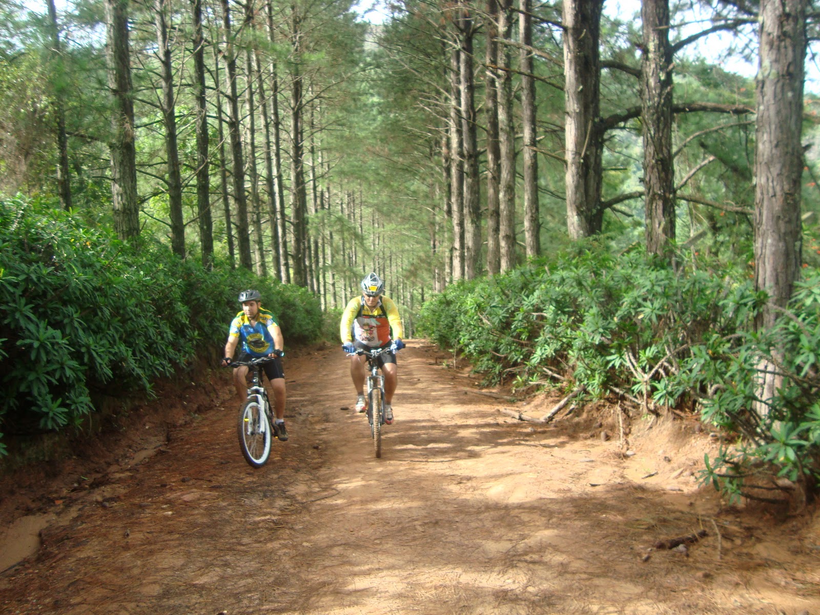 MTB Adventure: Trilha de Bike na Serra do Japi - Jundiai - SP