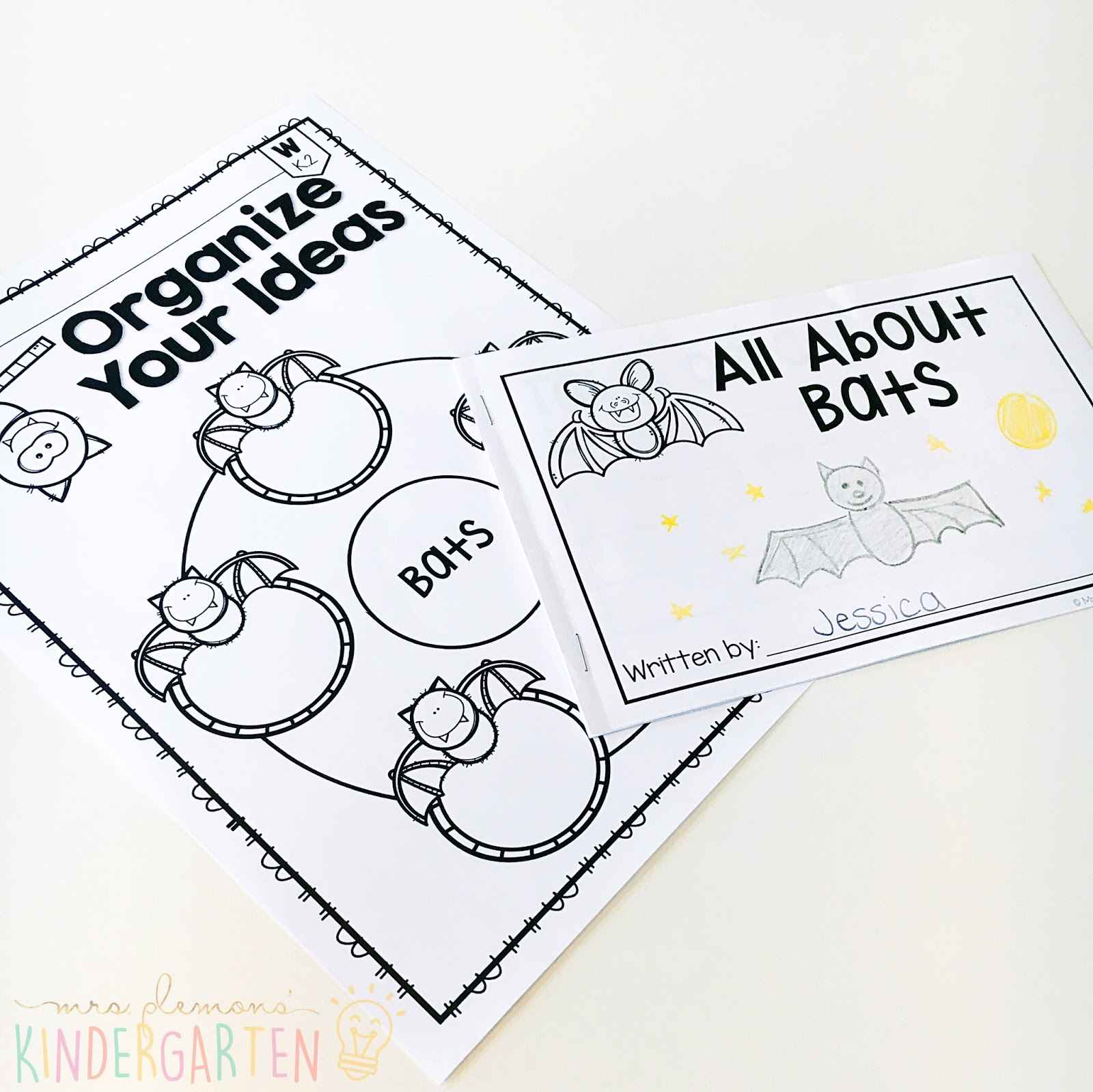 12 Brilliant Bat Books for Kids {with teaching ideas!} - Mrs. Plemons ...