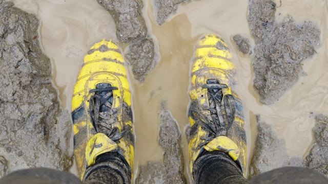 Bos Grunniens: Adventures In The Land of The Yak : October 2013