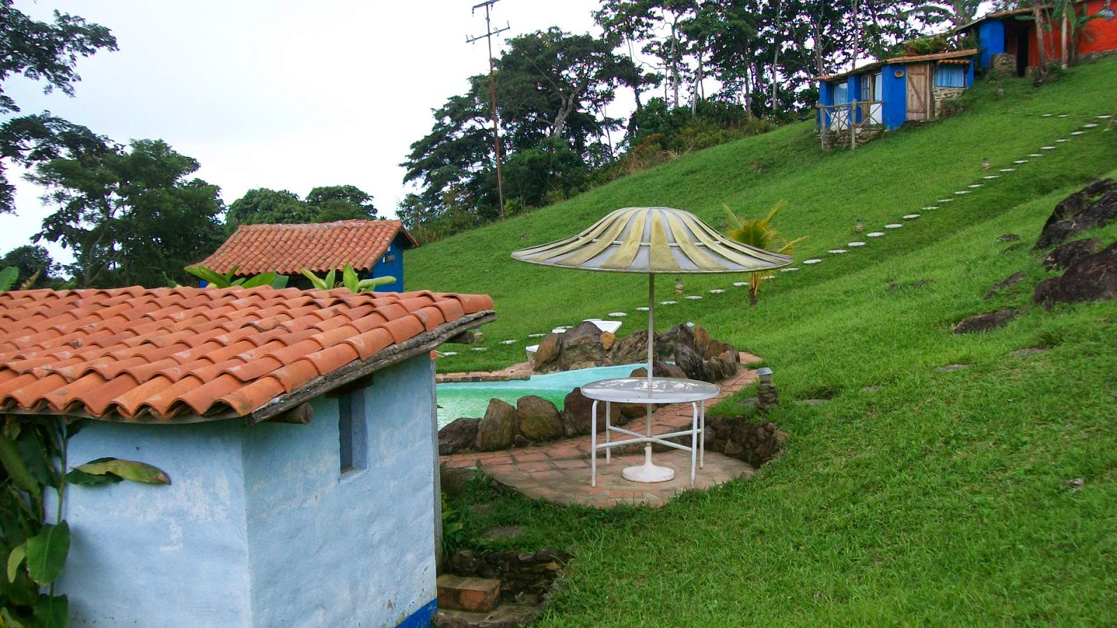 Bejuma al día...: Bejuma Jardin de Carabobo