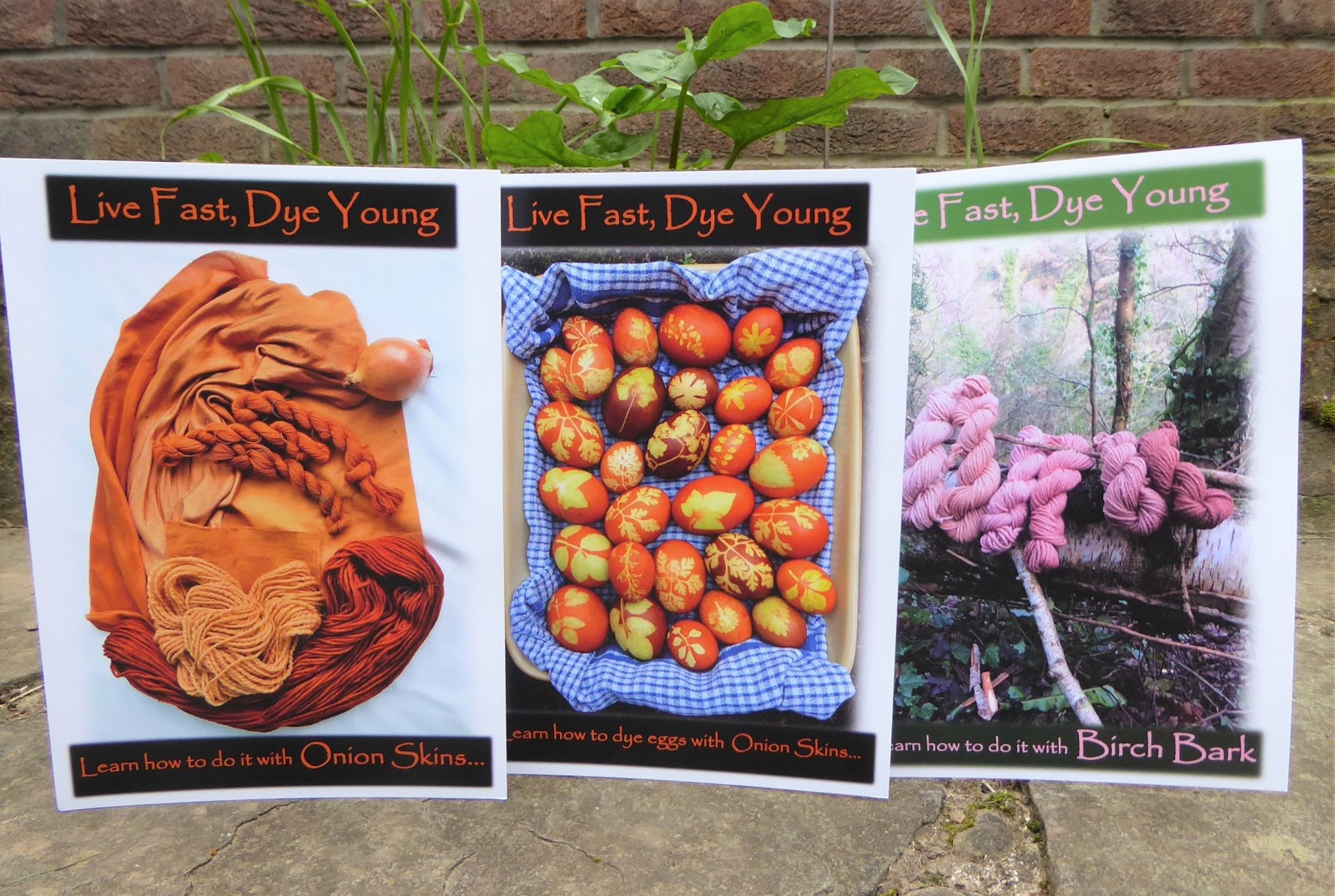 Wool - Tribulations of Hand Spinning and Herbal Dyeing: Plant Dye ...