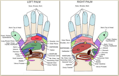 Reveal About Your Health through Hands ~ Info And Knowledge